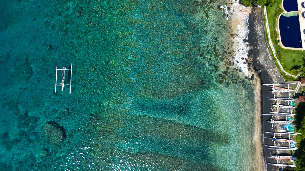 Bali - Coral Shore – Riptide Prints