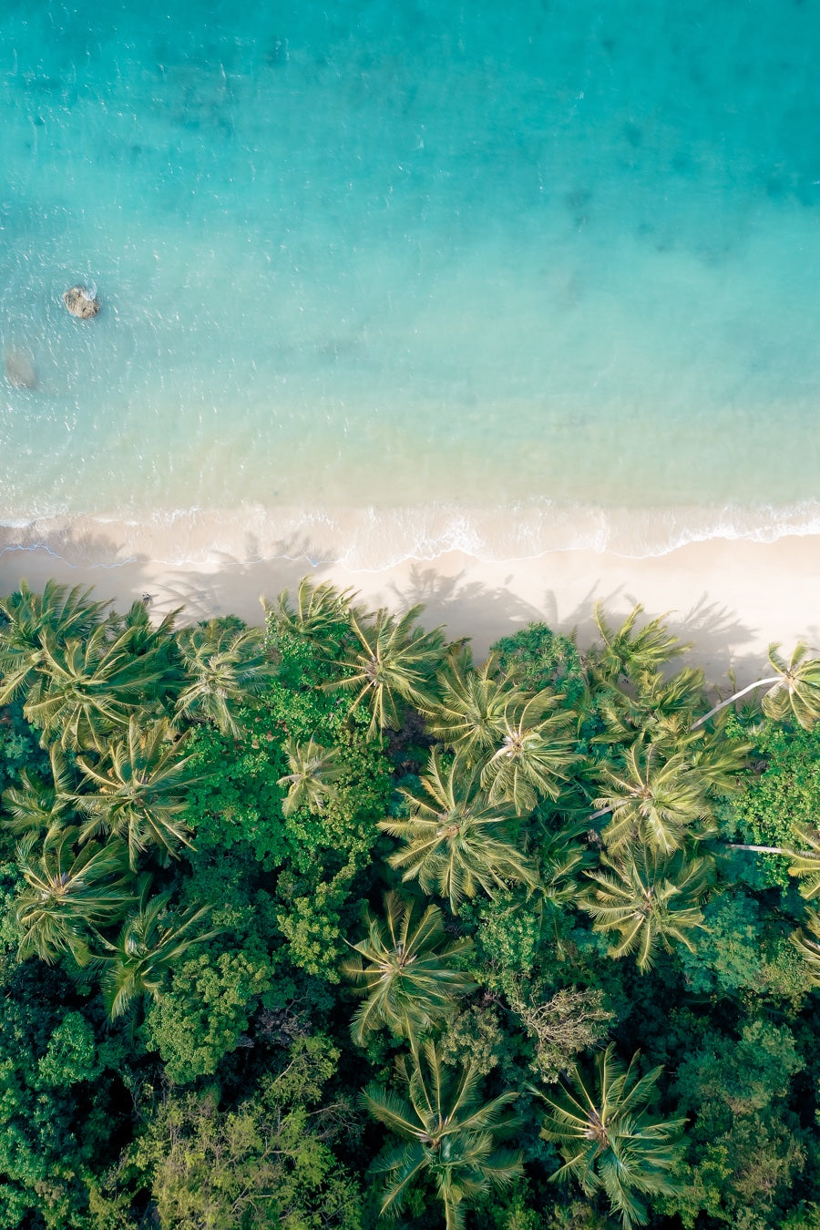 Thailand Tropics – Riptide Prints