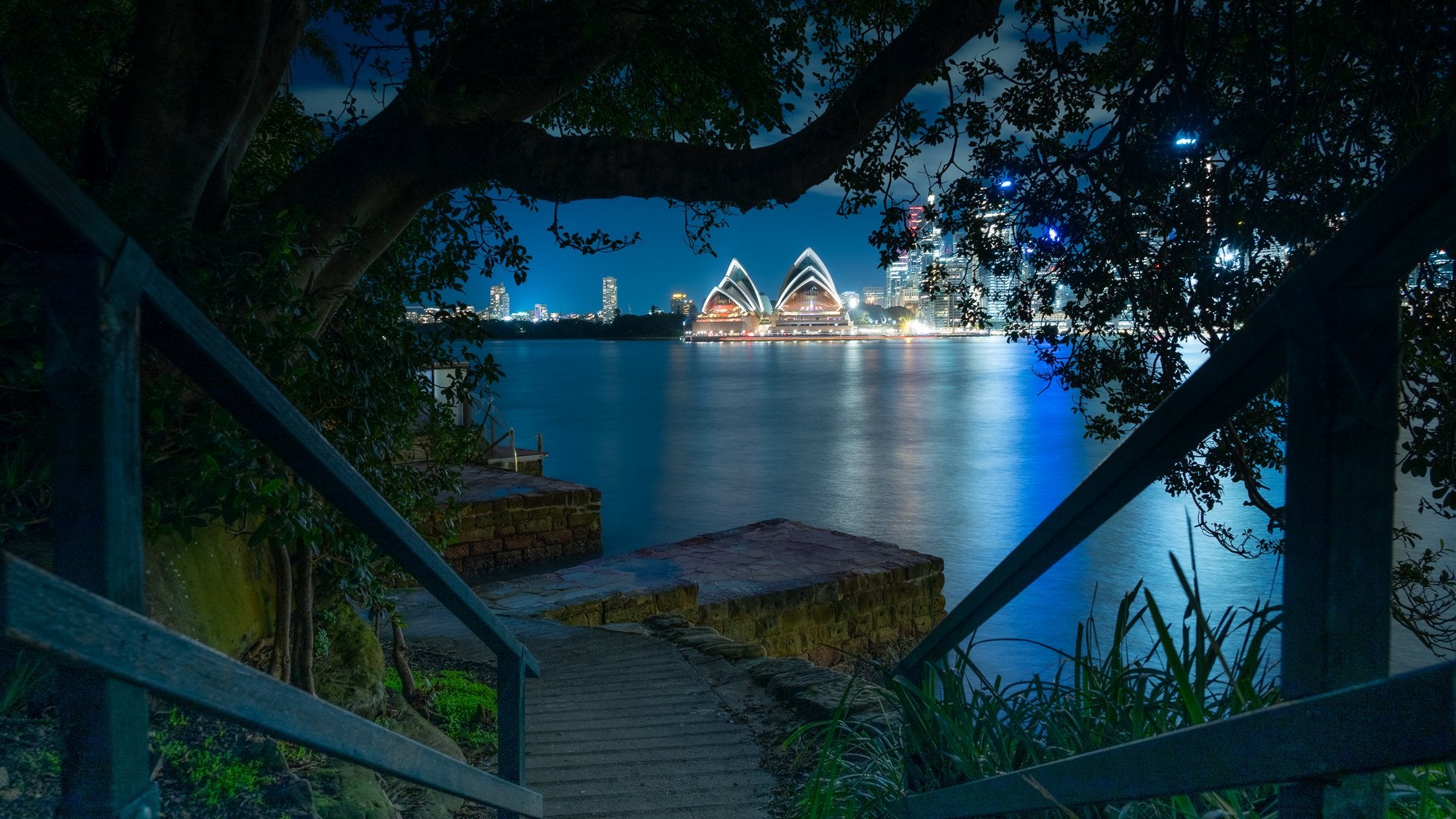 Opera House Through The Trees – Riptide Prints