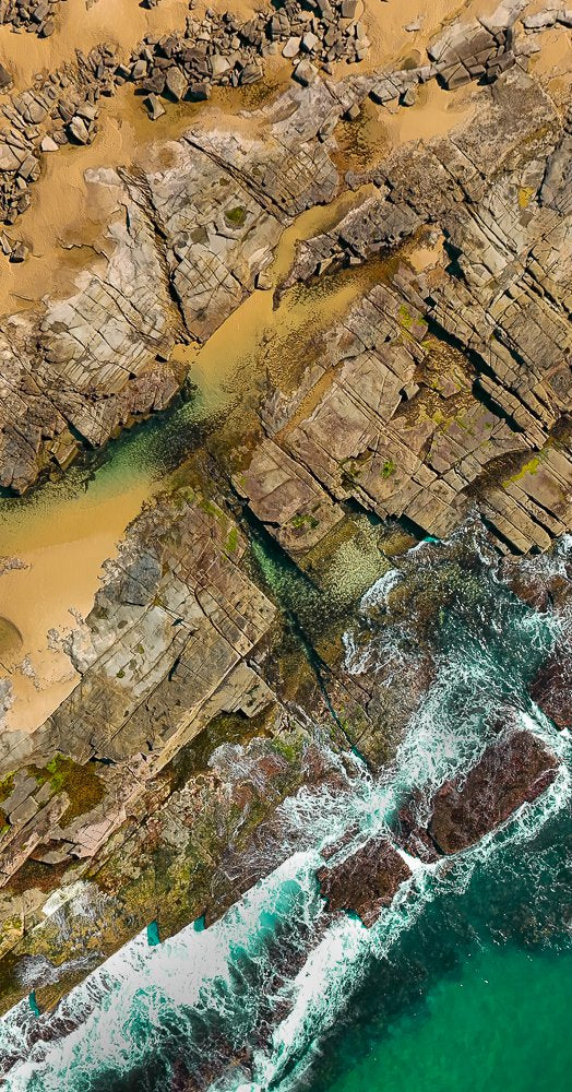 Woody Head 1 – Riptide Prints