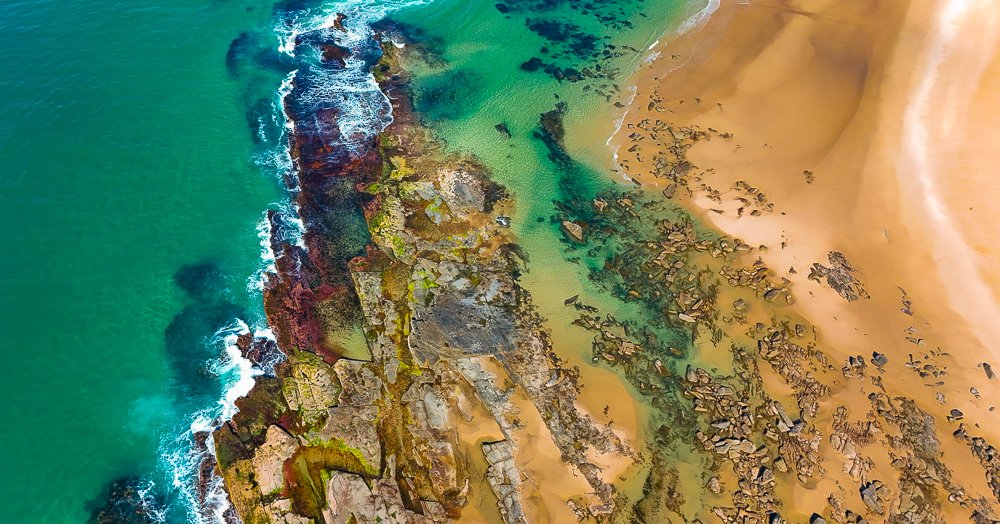 Woody Head 2 – Riptide Prints