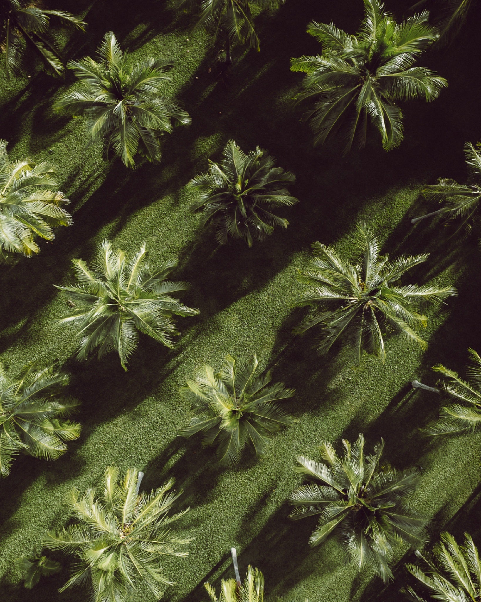 Up North – Riptide Prints