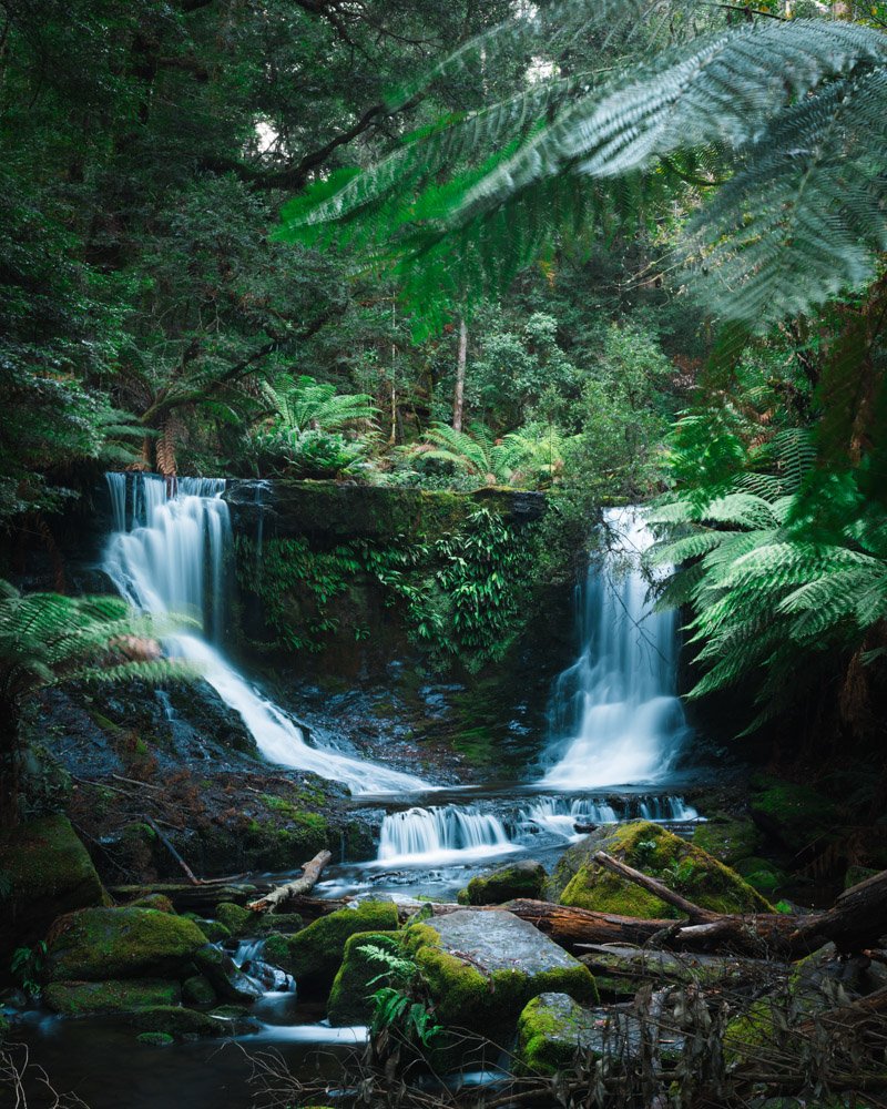 Secluded Waterfall in Tasmania – Riptide Prints