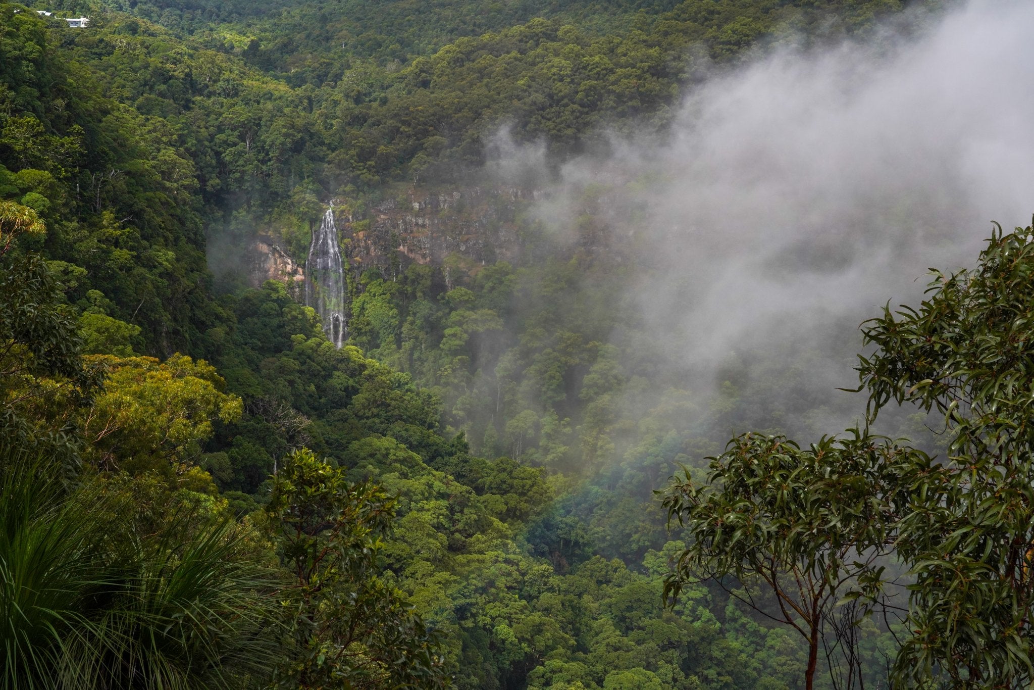 Moran Falls at Lamington National Park – Riptide Prints