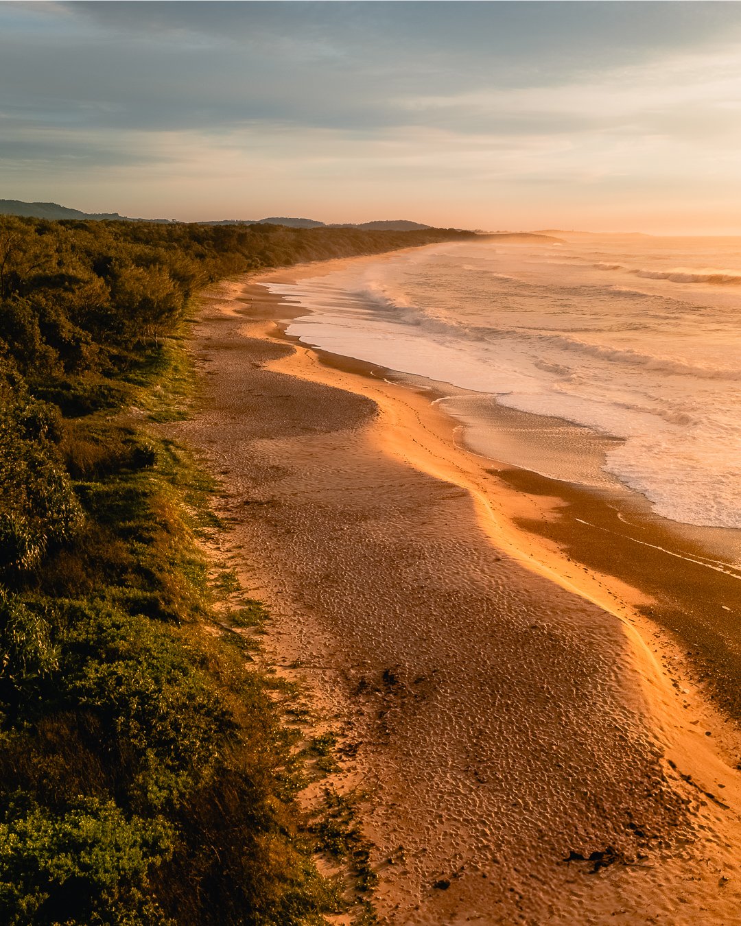 Sapphire Beach Serpent – Riptide Prints