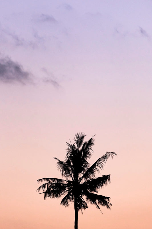 Align – Riptide Prints