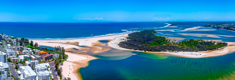 Terry The Turtle Flipping the Bird | Riptide Prints