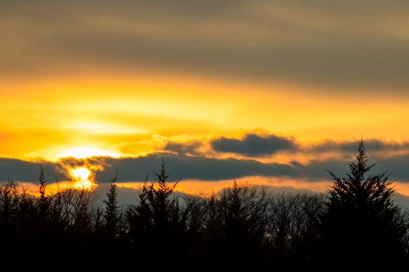 Evergreen Sunset – Riptide Prints