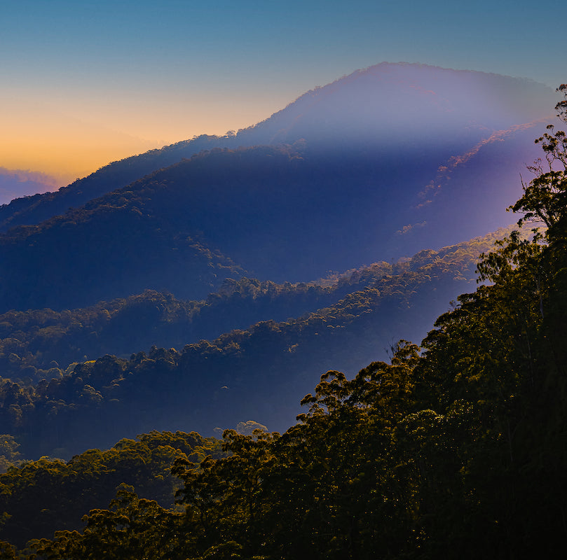 Fog covering the mountain – Riptide Prints