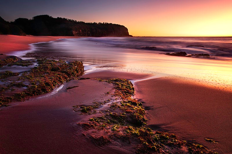 Golden beach – Riptide Prints