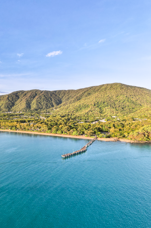 Palm Cove I – Riptide Prints