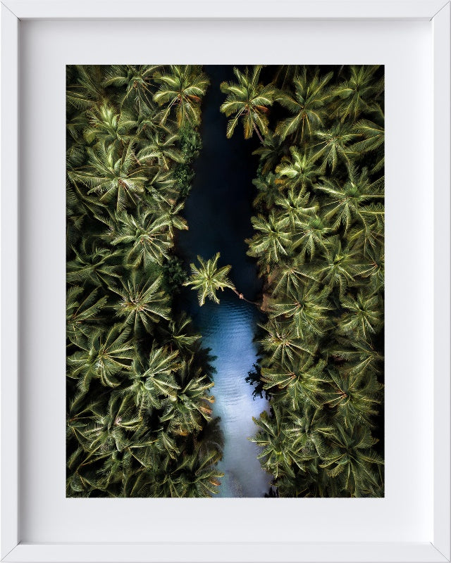 Palm Tree Haven – Riptide Prints