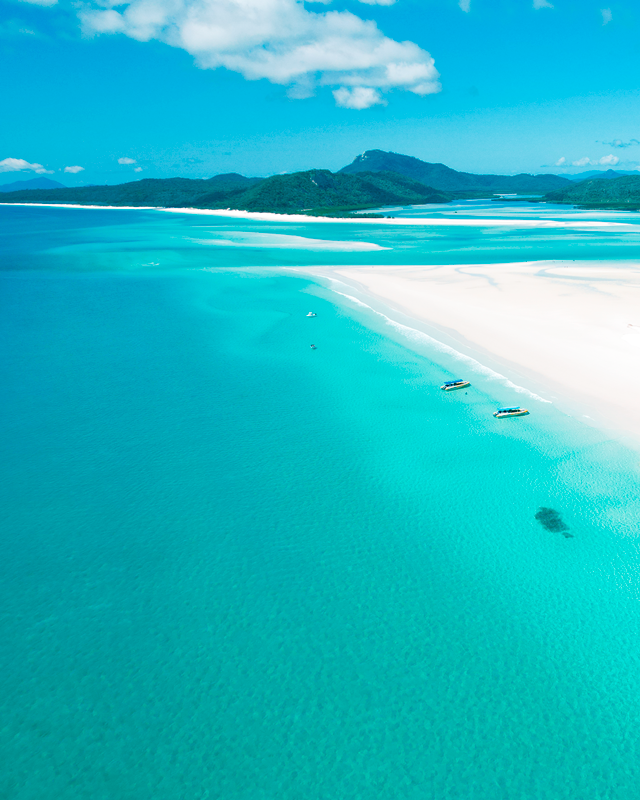 Whitehaven – Riptide Prints