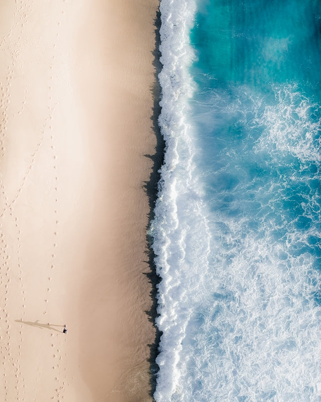 Shark Biscuit – Riptide Prints