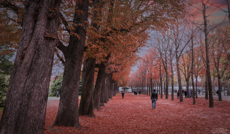 Autumn In Paris – Riptide Prints