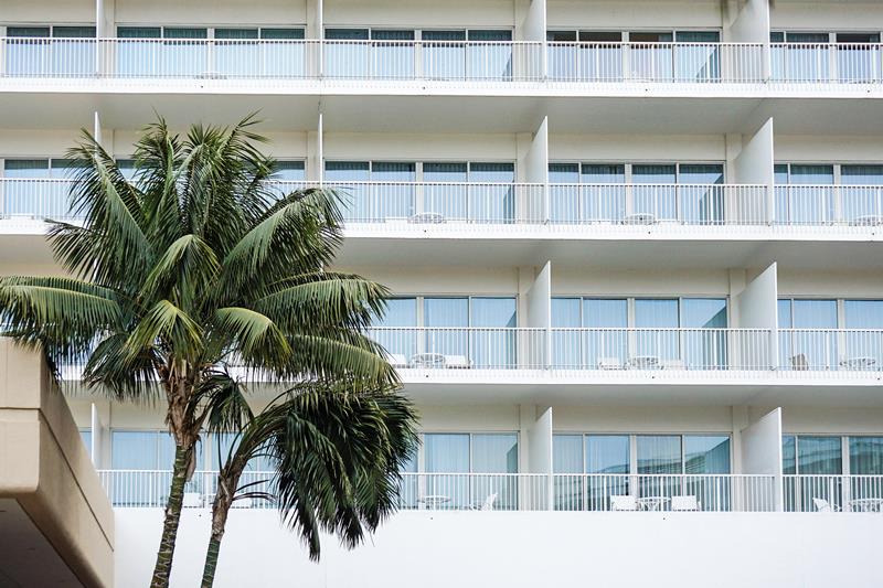 Beverly Palms – Riptide Prints