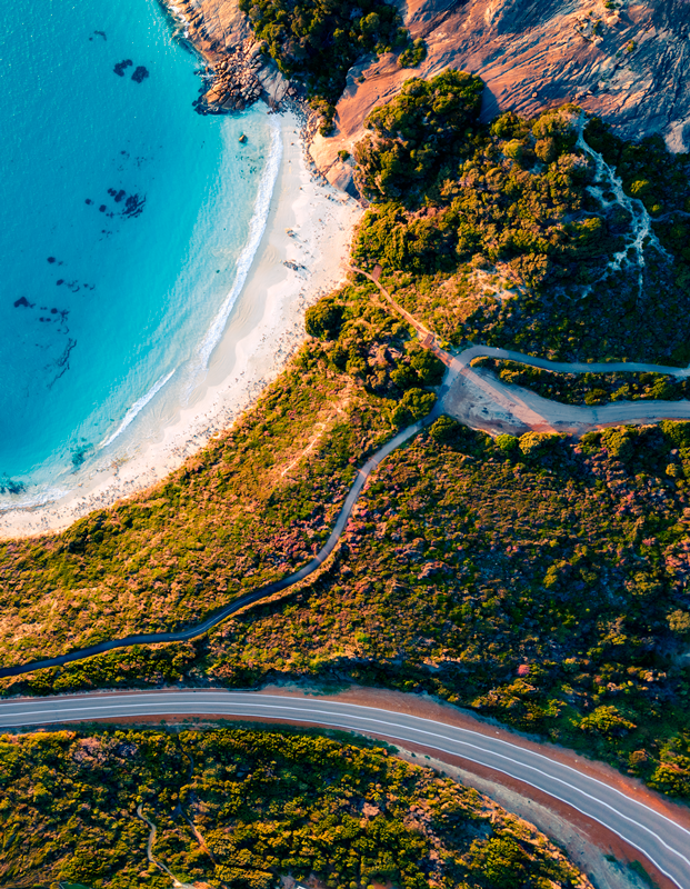 Blue Haven – Riptide Prints