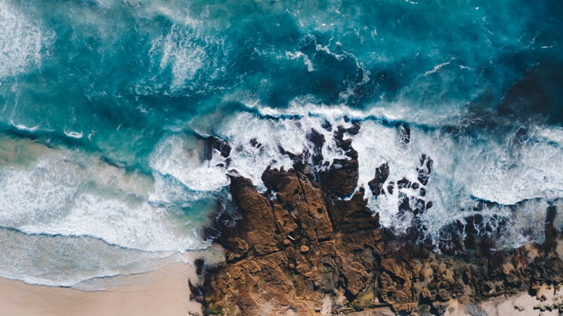 Catho Top Down – Riptide Prints