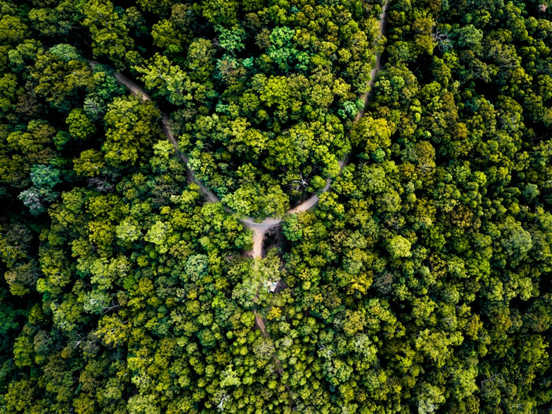 Watagan Mountains – Riptide Prints