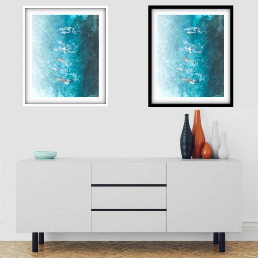 Dolphins – Riptide Prints