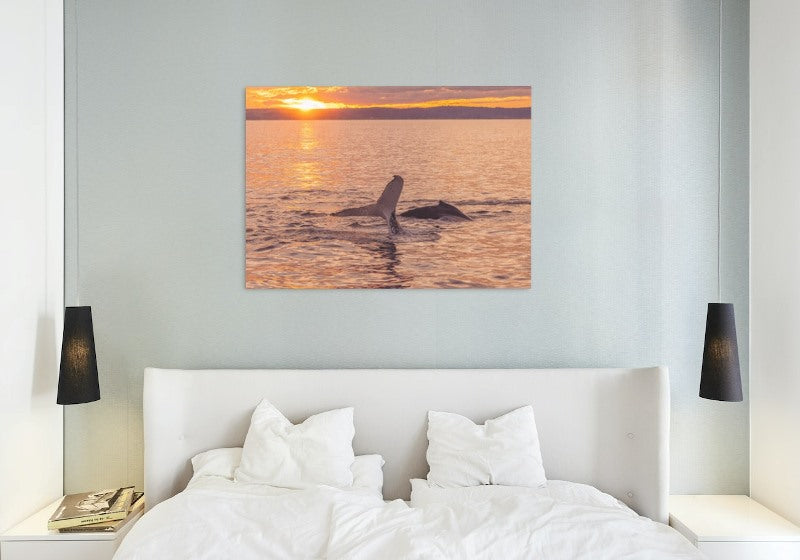 Humpback Sunset – Riptide Prints
