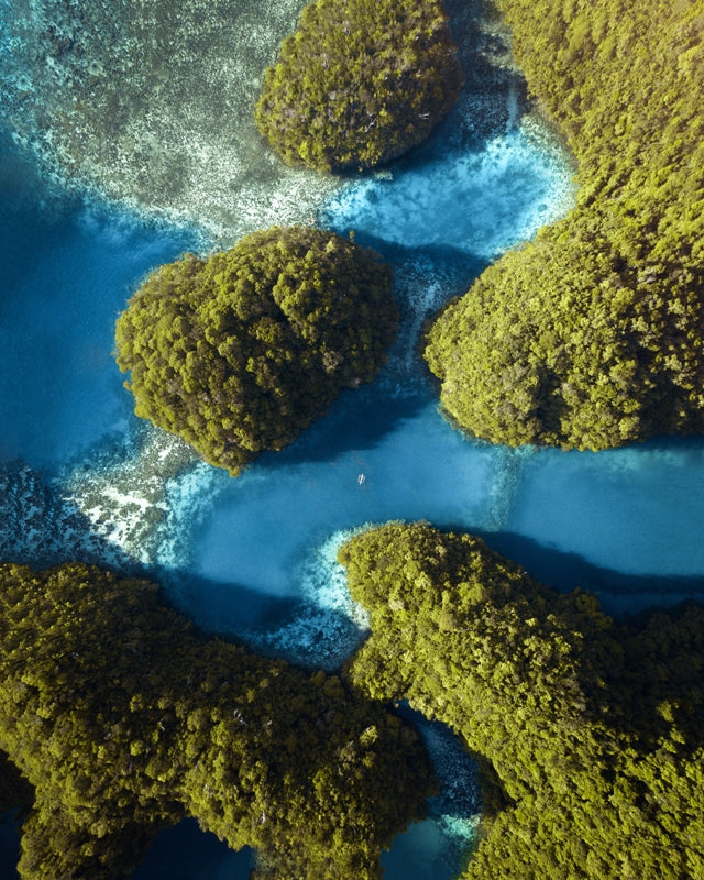 Lagoon Haven – Riptide Prints