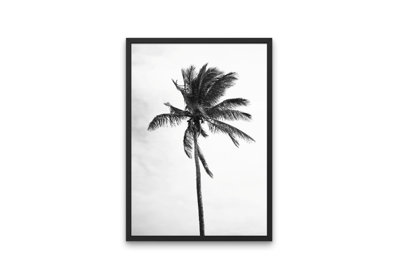 Lone Palm – Riptide Prints