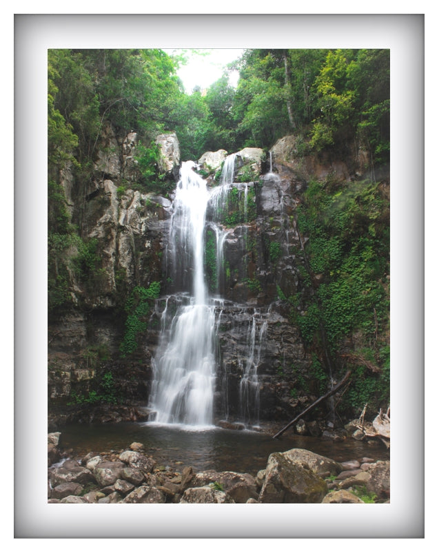 Minnamurra Falls – Riptide Prints