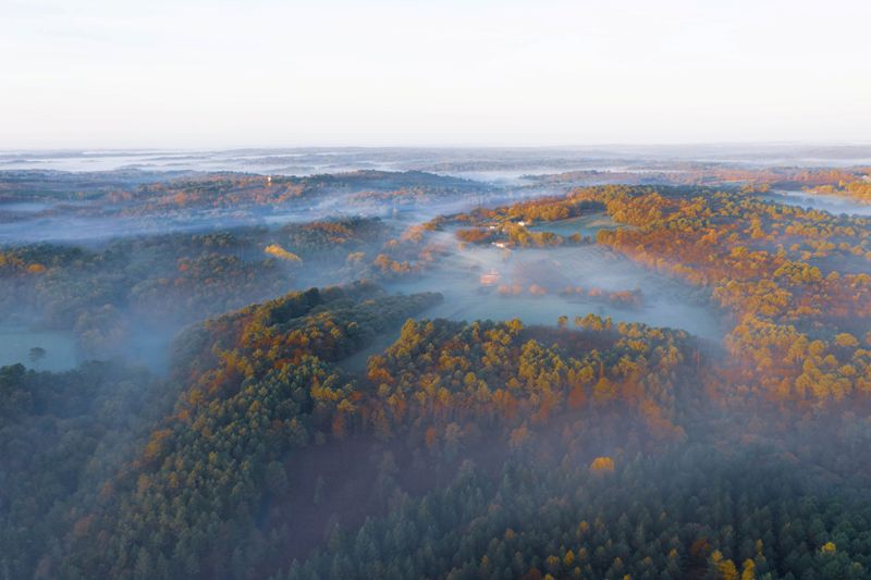 Misty sunrise – Riptide Prints