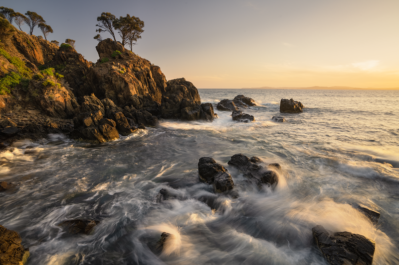 Motion – Riptide Prints