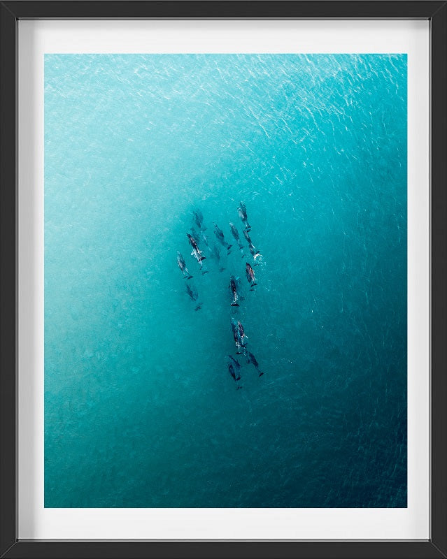 Morning Swim – Riptide Prints