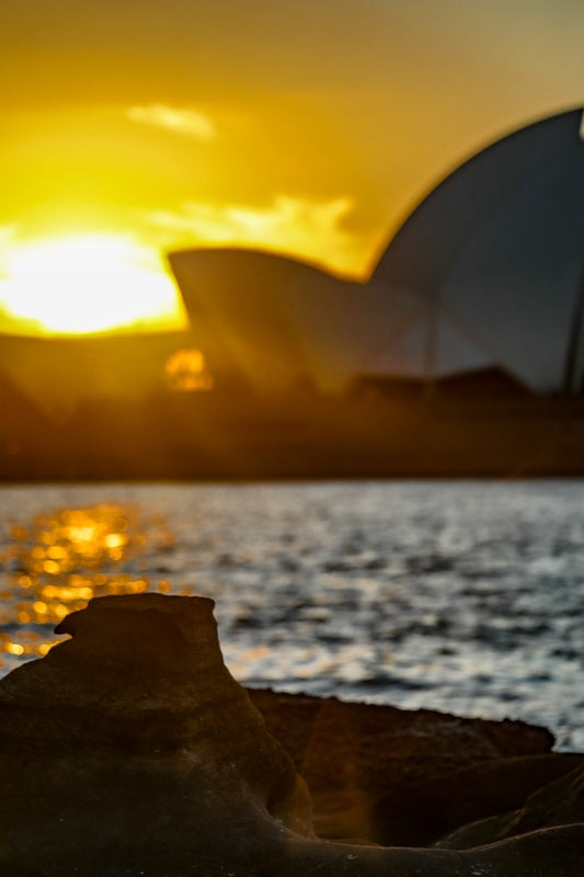 OPERA HOUSE – Riptide Prints