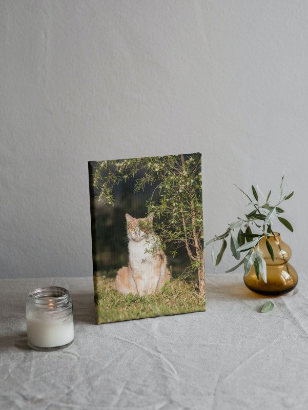 Peekaboo – Riptide Prints