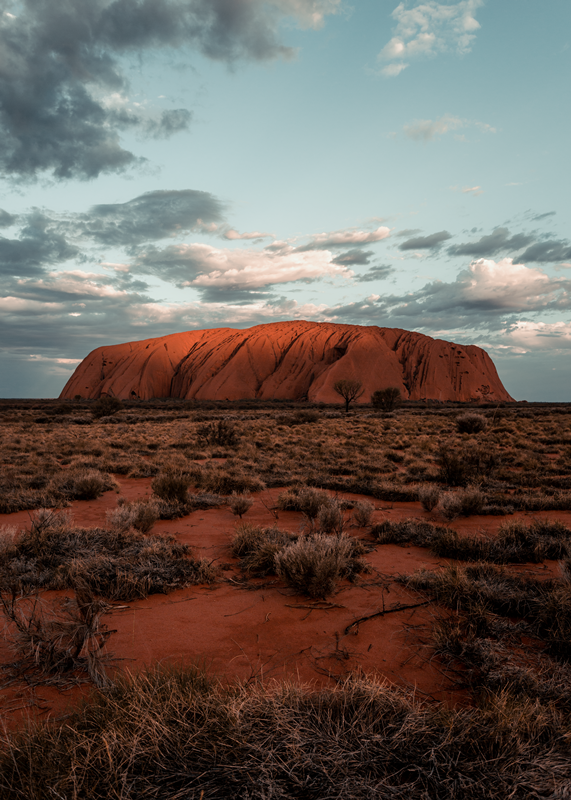 Red Centre Magic – Riptide Prints