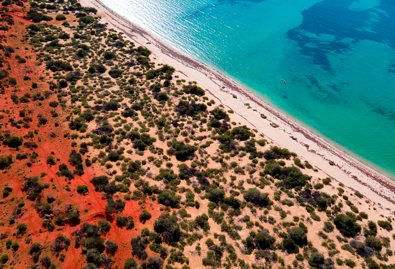 Red Coast – Riptide Prints