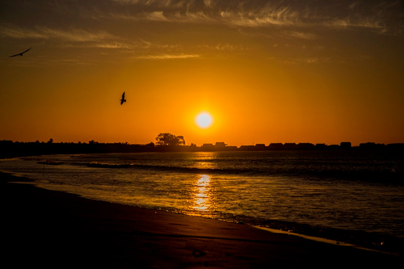 Reflection – Riptide Prints