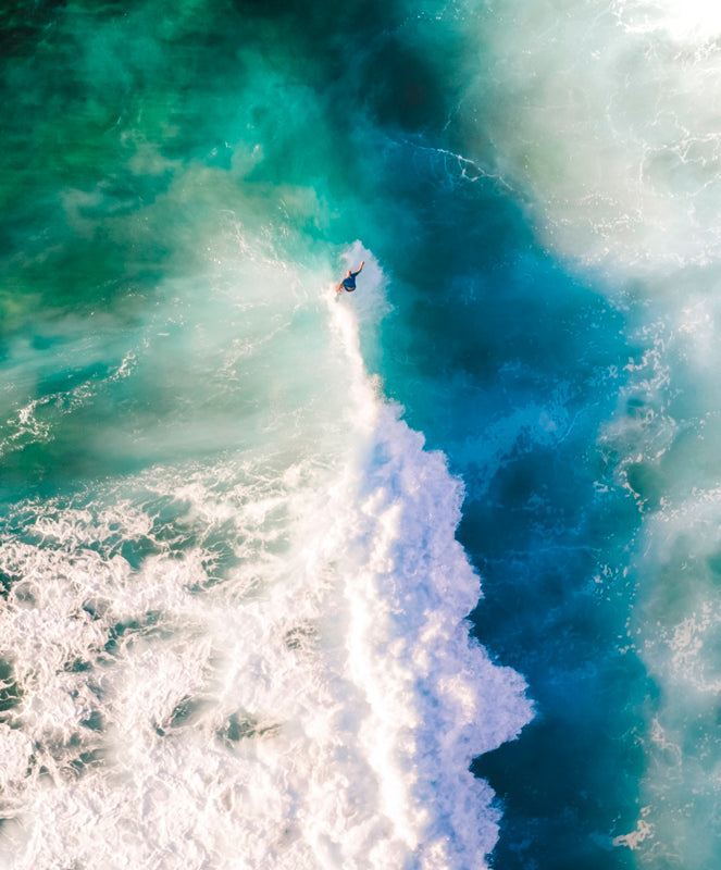 Shadow Surfer – Riptide Prints