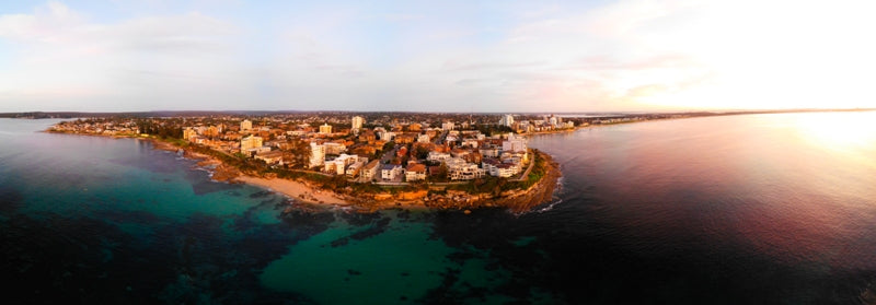 Terry The Turtle Flipping the Bird | Riptide Prints