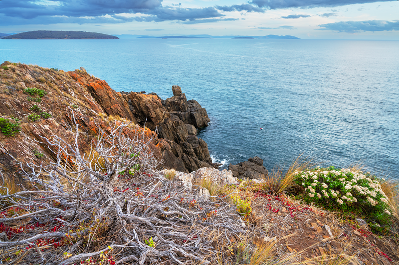 Suffusion – Riptide Prints