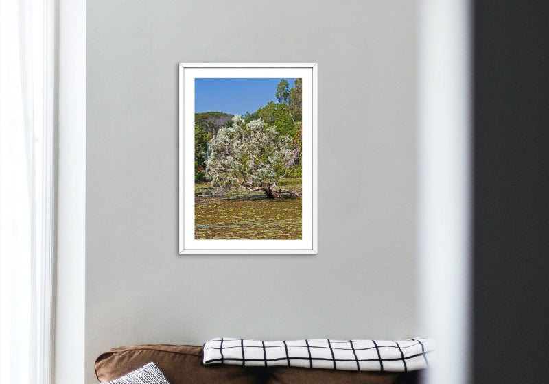 Swamp Tree – Riptide Prints