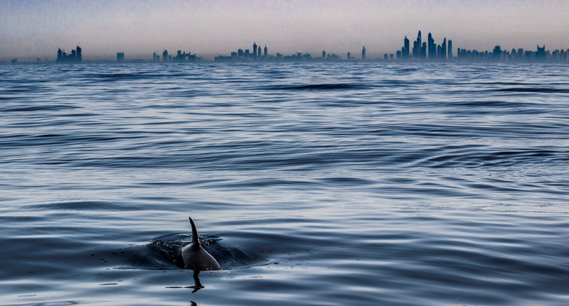 THE HORIZON – Riptide Prints