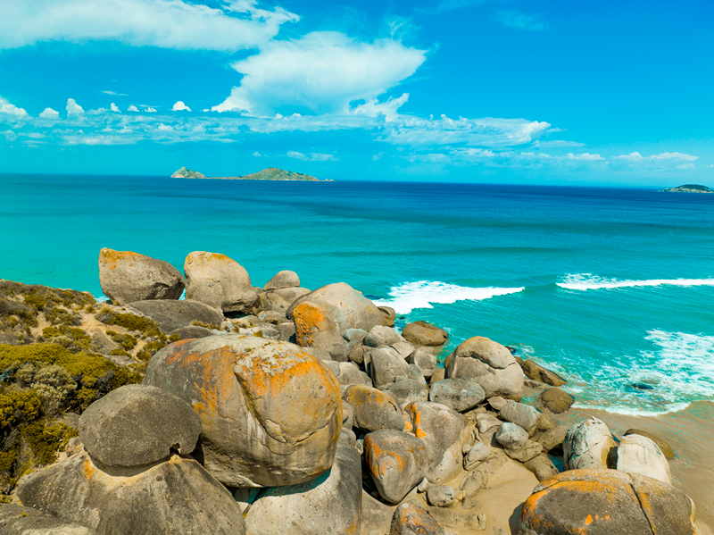 Willsons Prom – Riptide Prints