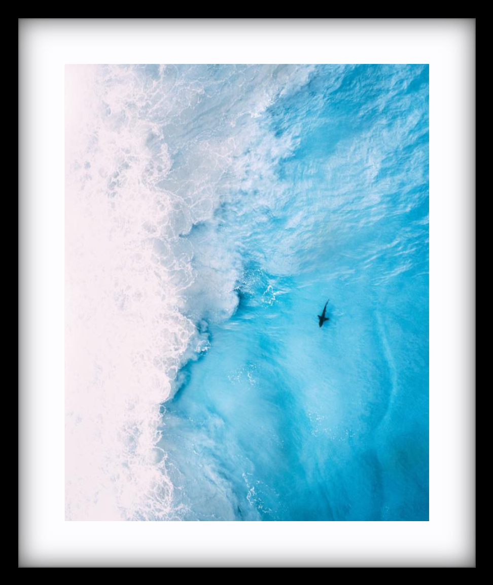 In His Element | Riptide Prints