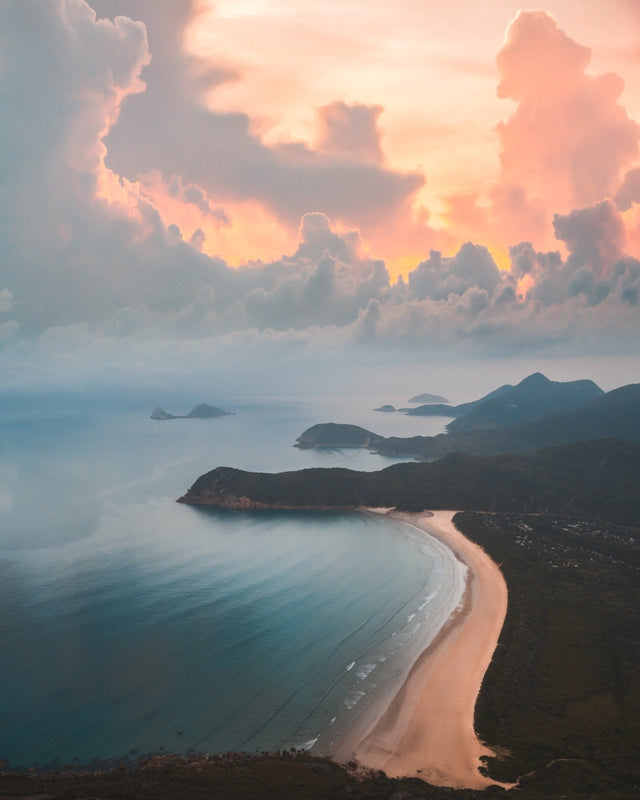 Disconnected – Riptide Prints