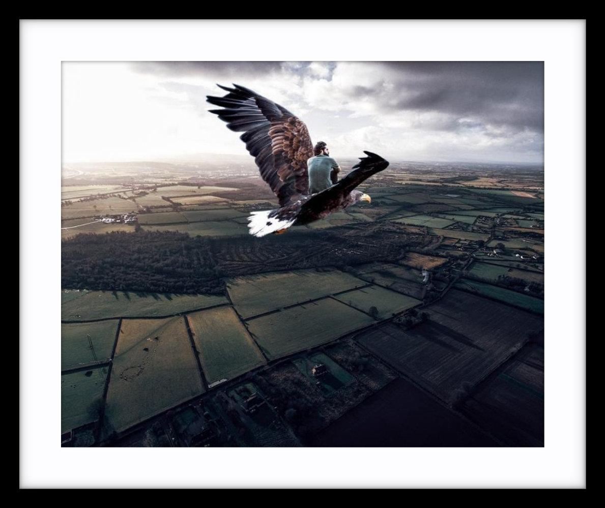 Eagle Flight – Riptide Prints