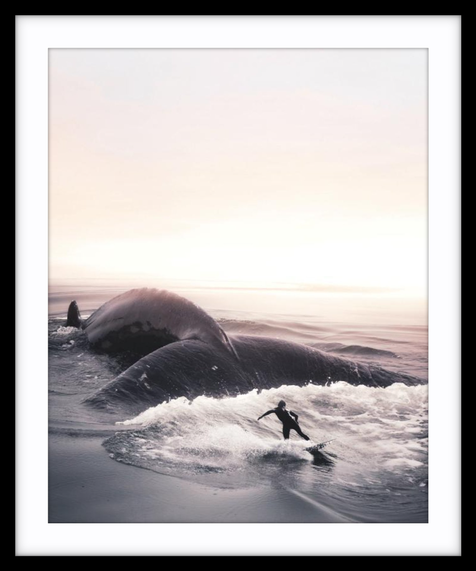Chasing Tail – Riptide Prints