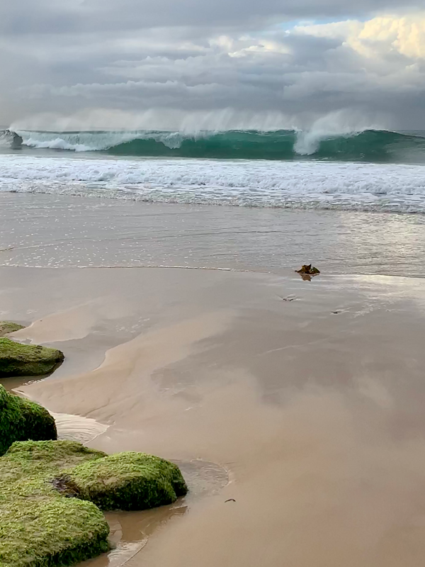 misty wave – Riptide Prints