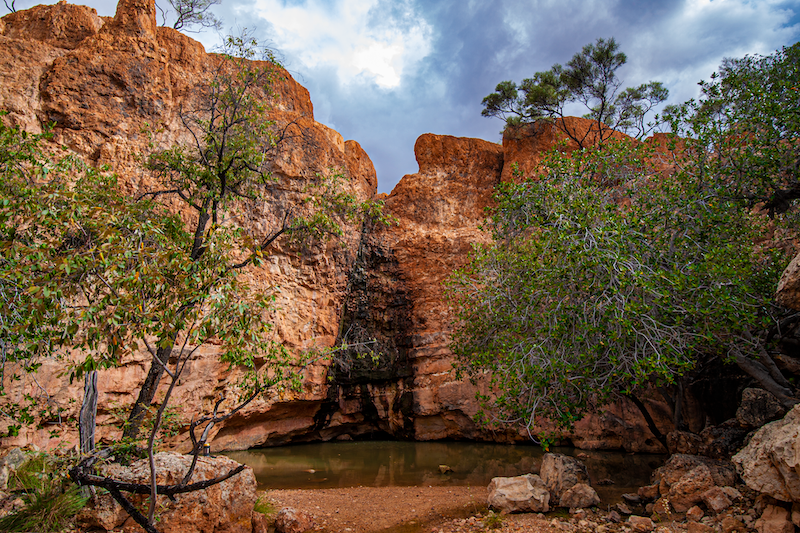 the secret waterhole – Riptide Prints