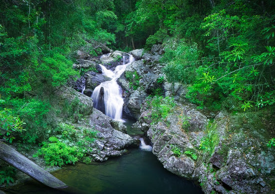 Urumbilum Falls – Riptide Prints