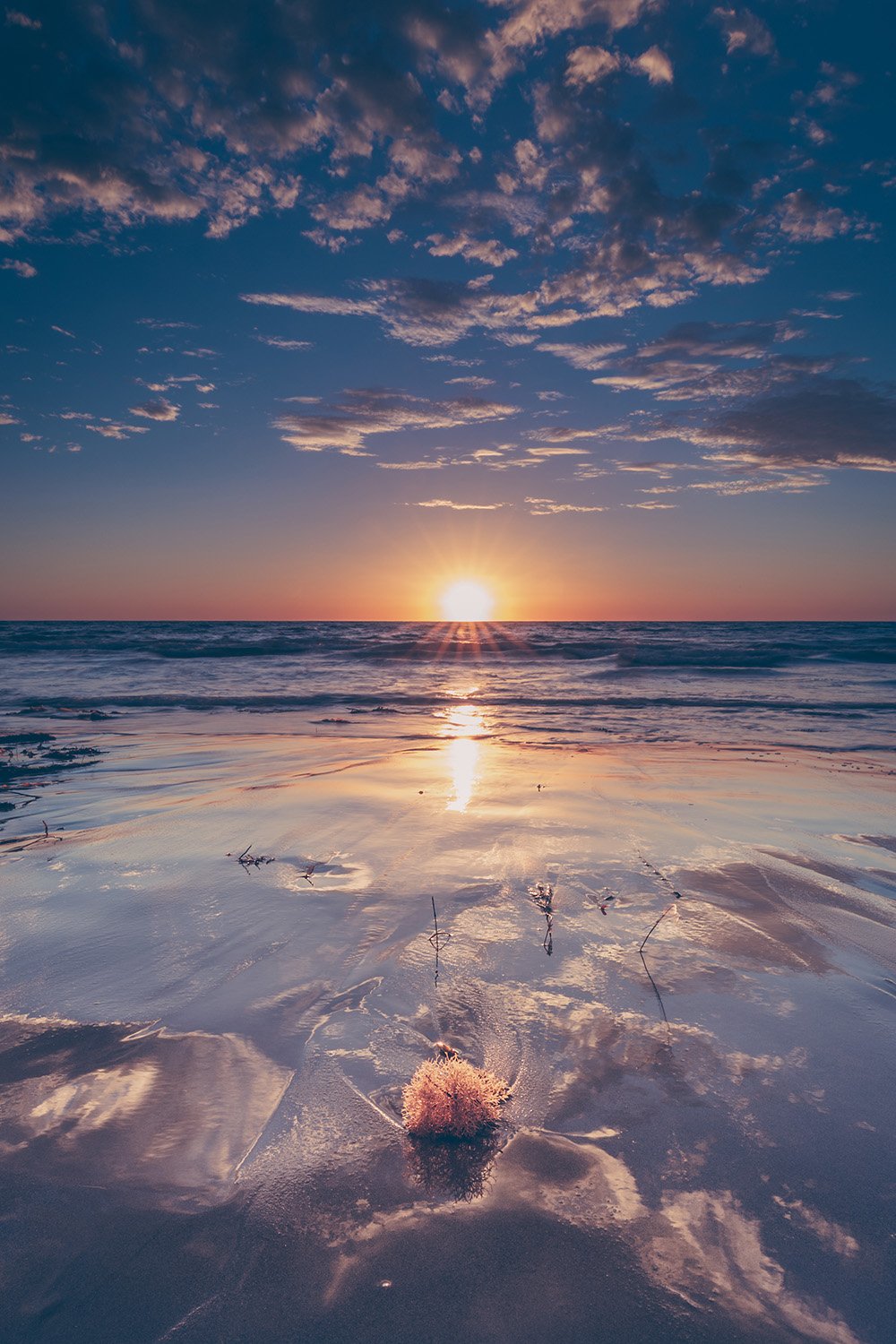 One Summer – Riptide Prints